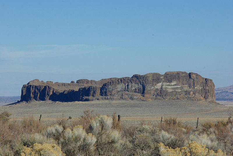 Why the Outback? | Elizabeth Goddard