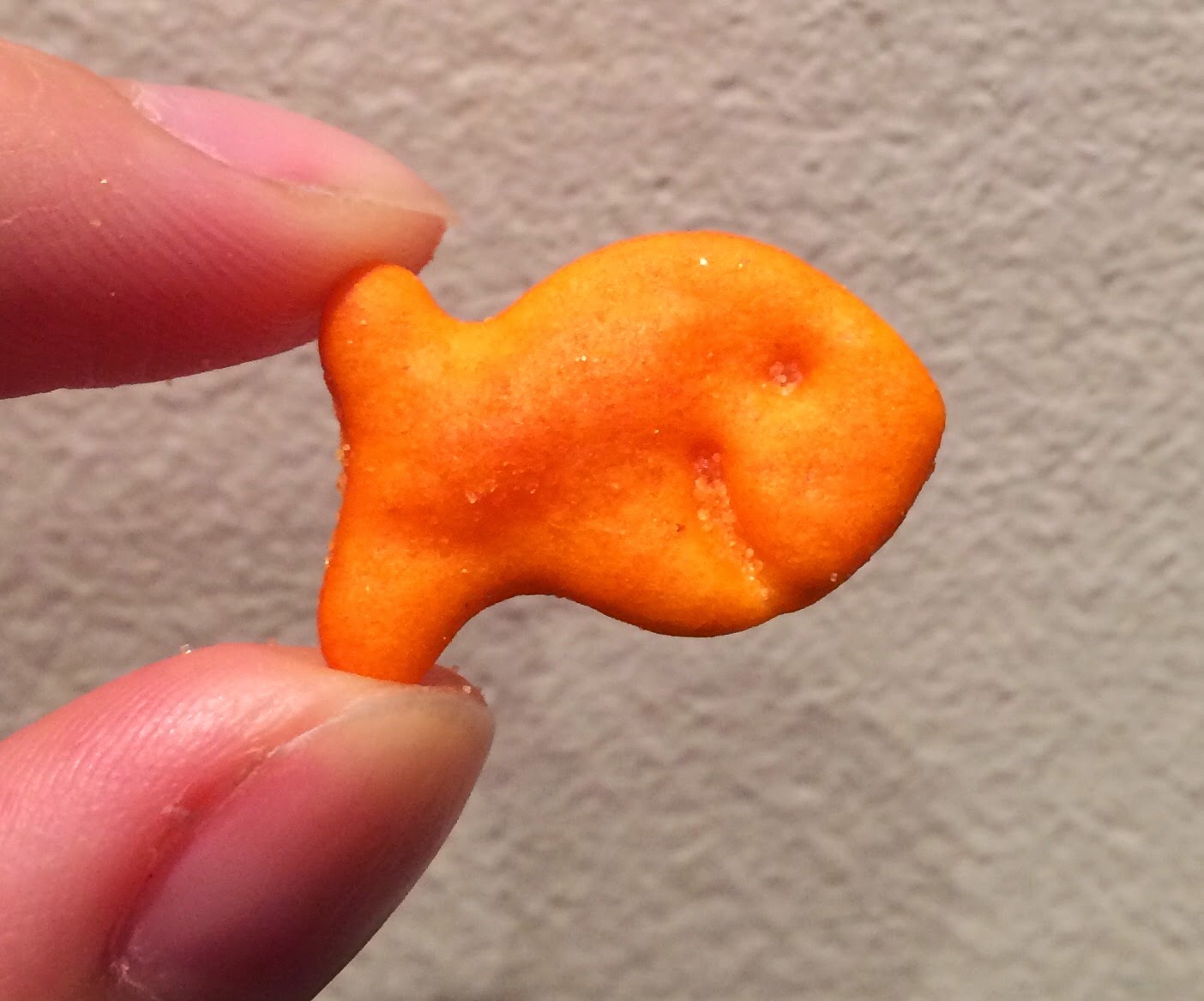 Goldfish Colors Cheddar (Easter) / ゴールドフィッシュ カラーズ チェダー（イースター） ~ I'm ...