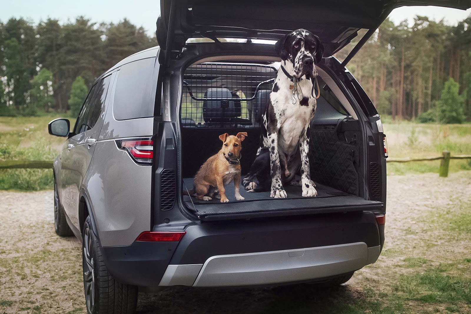 Land Rover apresenta os Pet Packs | Quatro rodas e um volante!