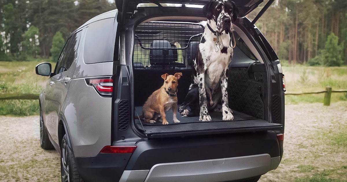 Land Rover apresenta os Pet Packs | Quatro rodas e um volante!