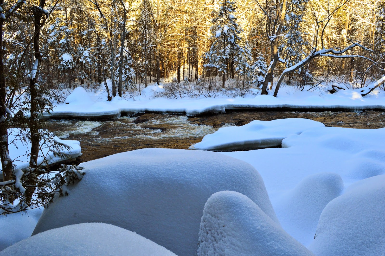 Parc de la rivière Doncaster