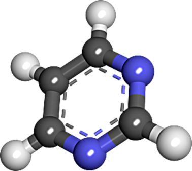 Ilmu Pengetahuan Peternakan : Fungsi dan Struktur Primidin