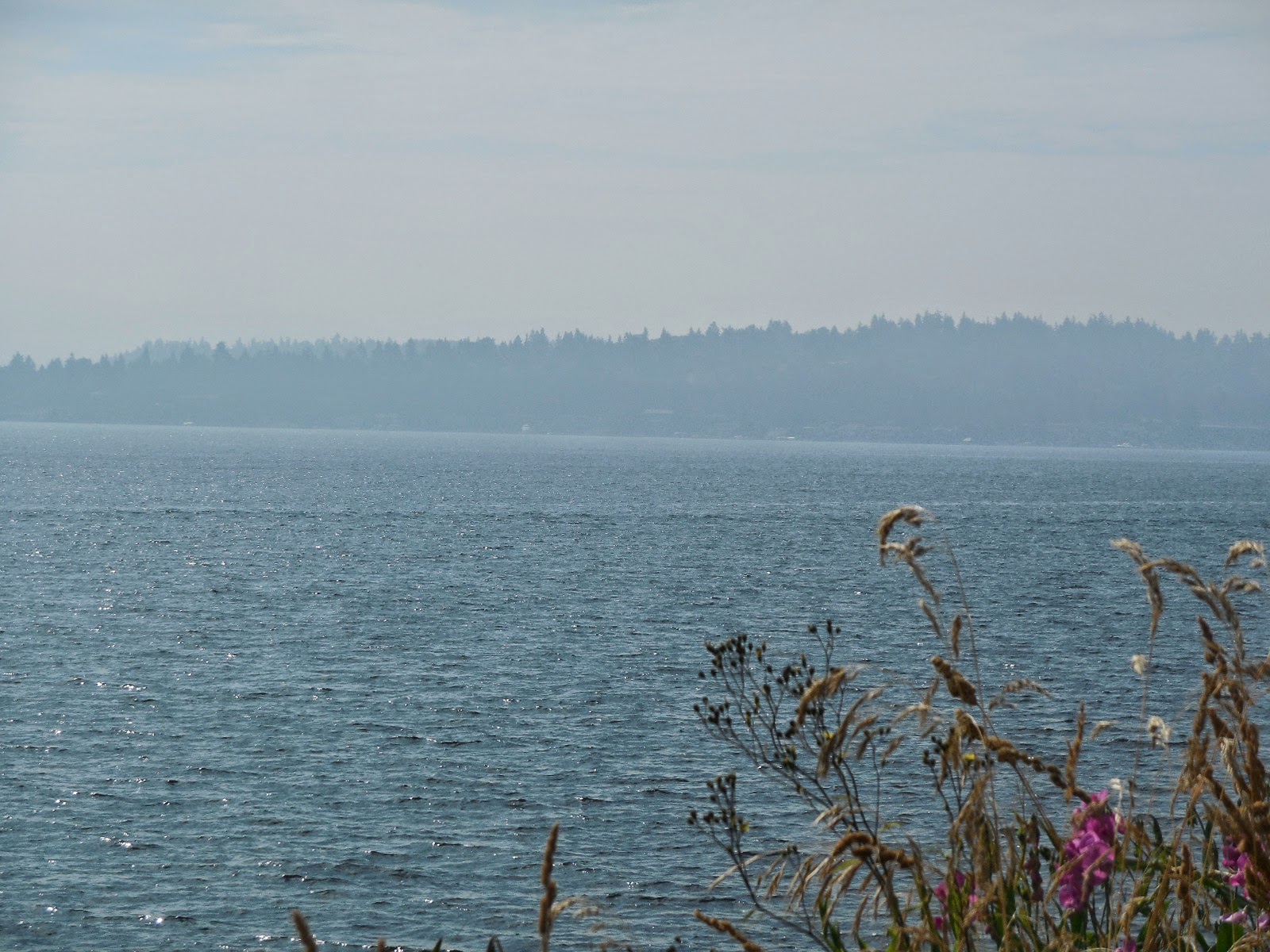 Bike Dreams: Lake Washington Loop