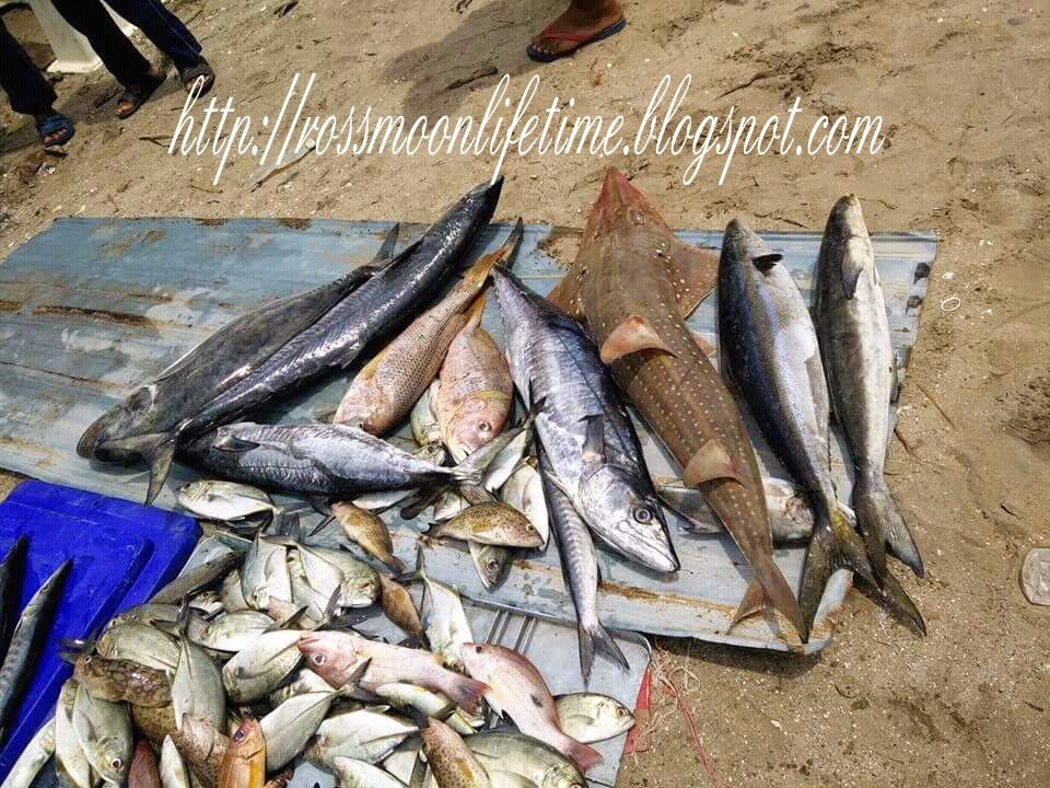 LiFeTiME: FISHING TRIP TO PAK BARA THAILAND