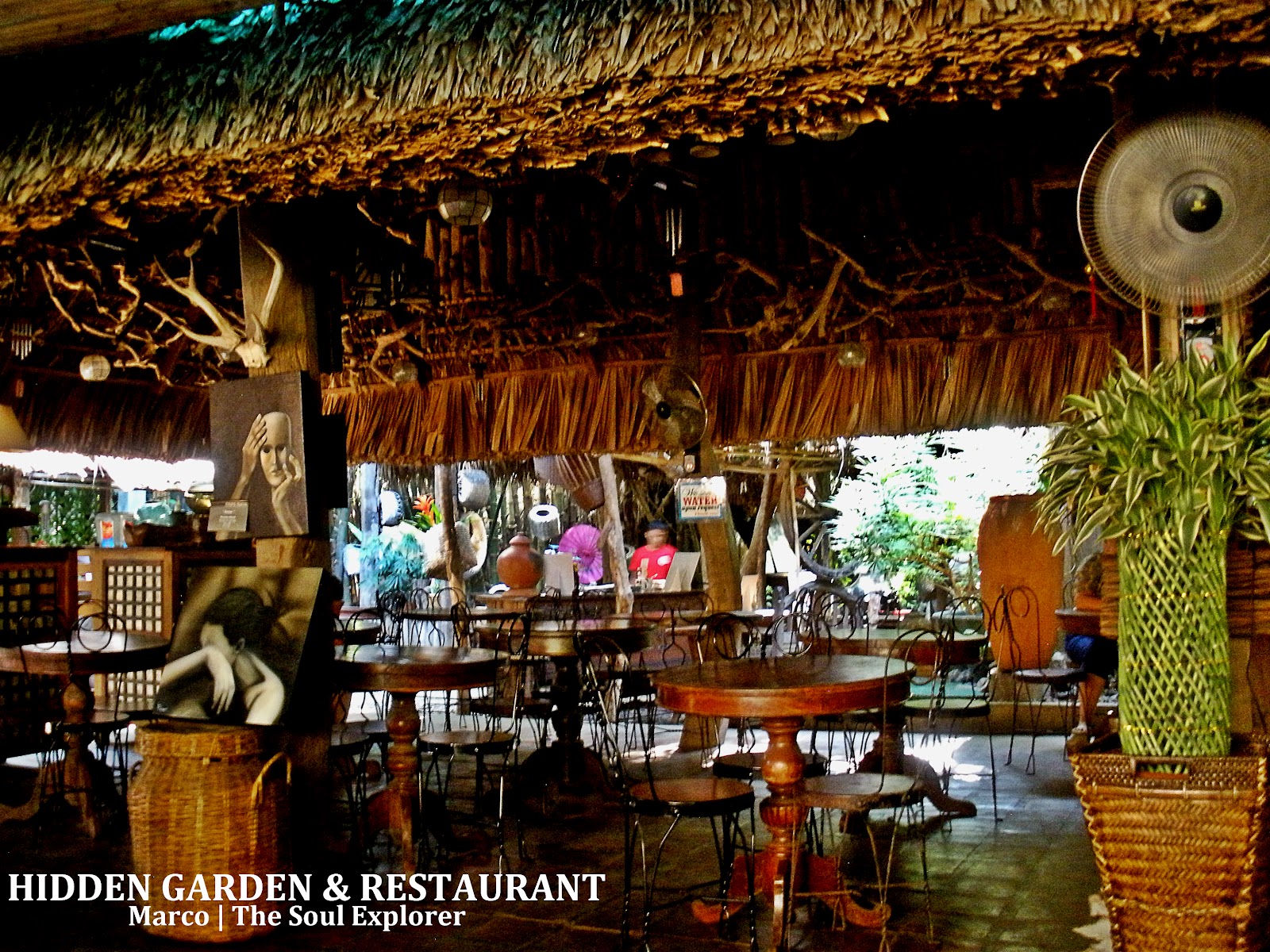 The Soul Explorer: Unleash the Vigan's Secret