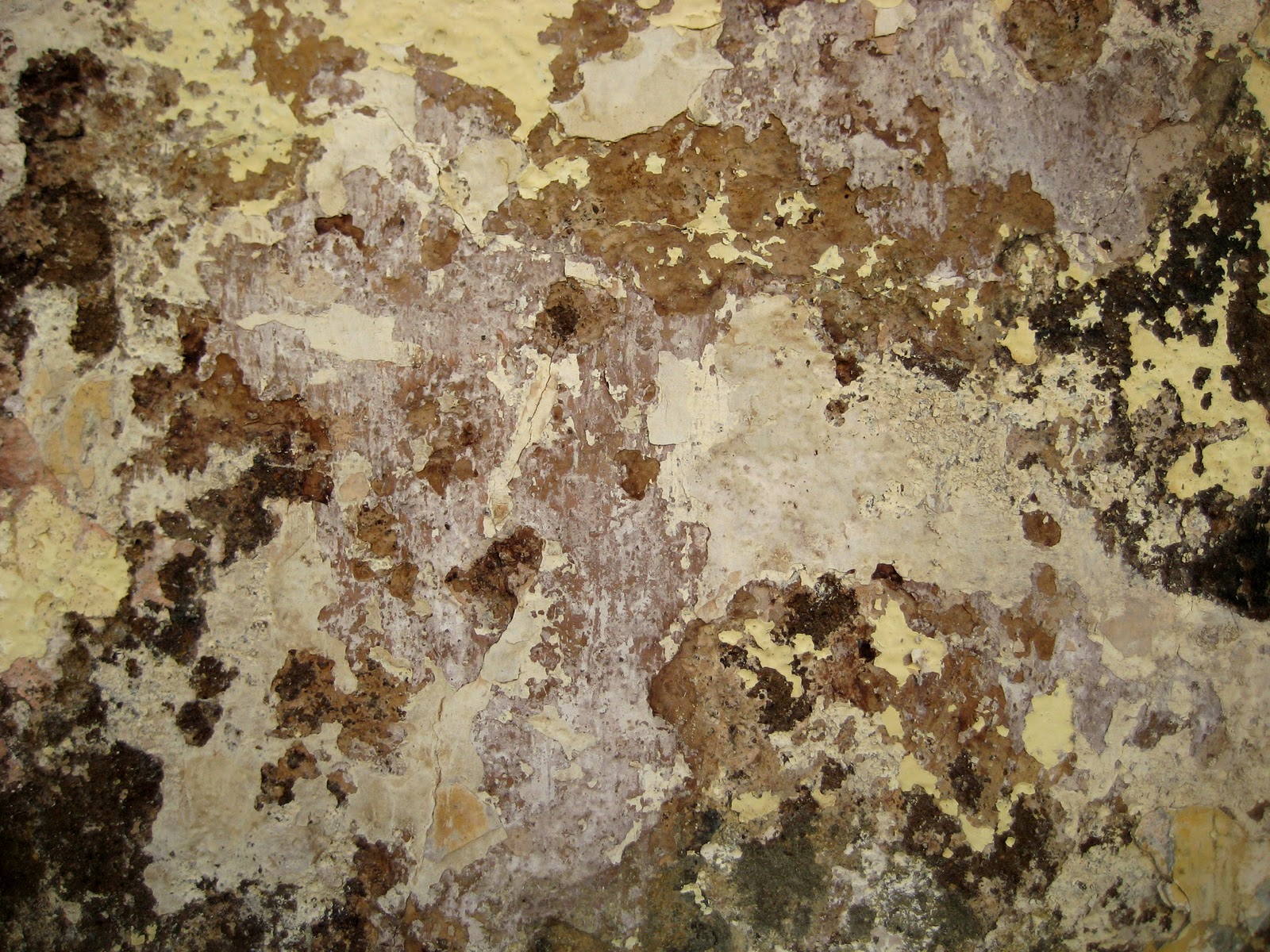 Crea Gratis: Texturas gratis para Photoshop