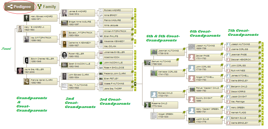 Twisted Twigs On Gnarled Branches: Time to tally up your family tree ...