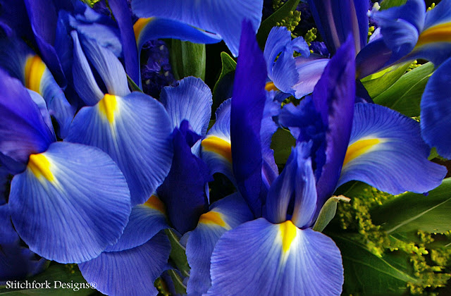 Stitchfork Designs: When iris eyes are smiling.....