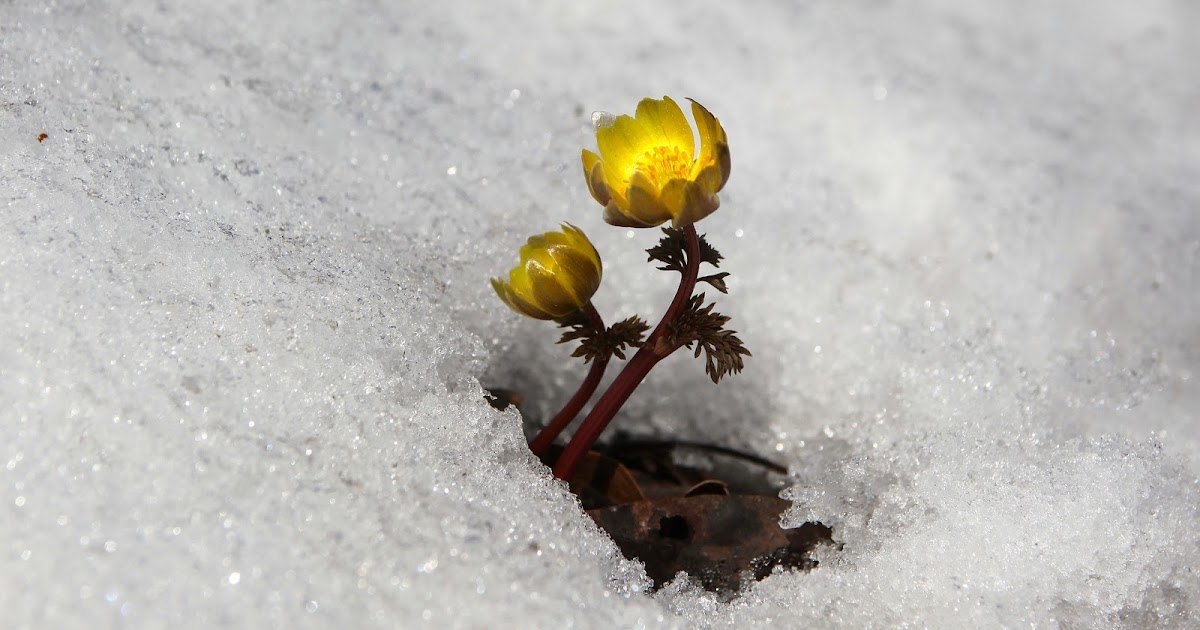 Galionite: Okay, Which One of Y'all Made Mother Nature So Mad?