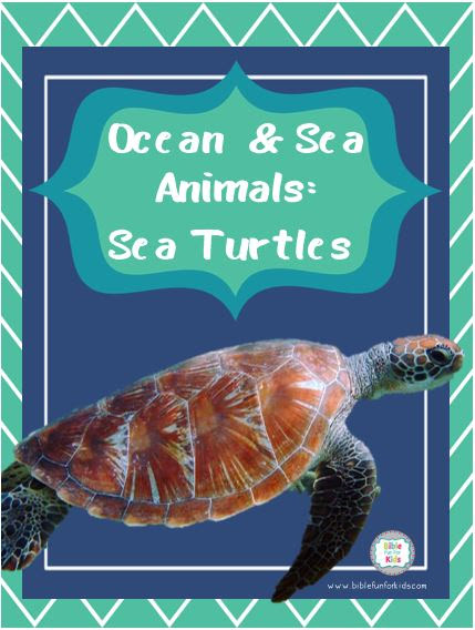 God Makes the Ocean & Sea Animals | Bible Fun For Kids