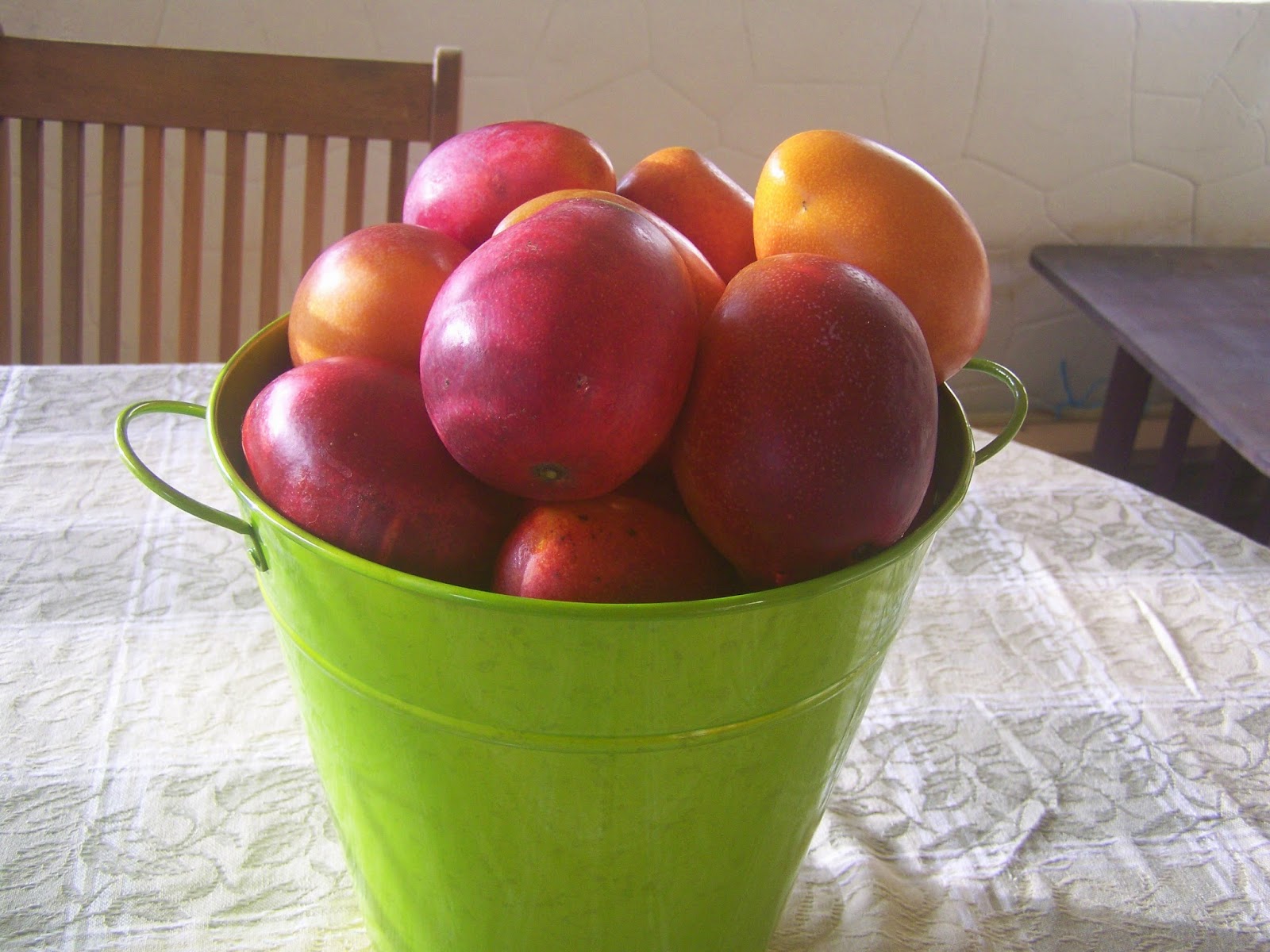 my rustic bajan garden: Mangomania has ended