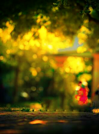 cb background. cb editz background. background. cb edit. edit.