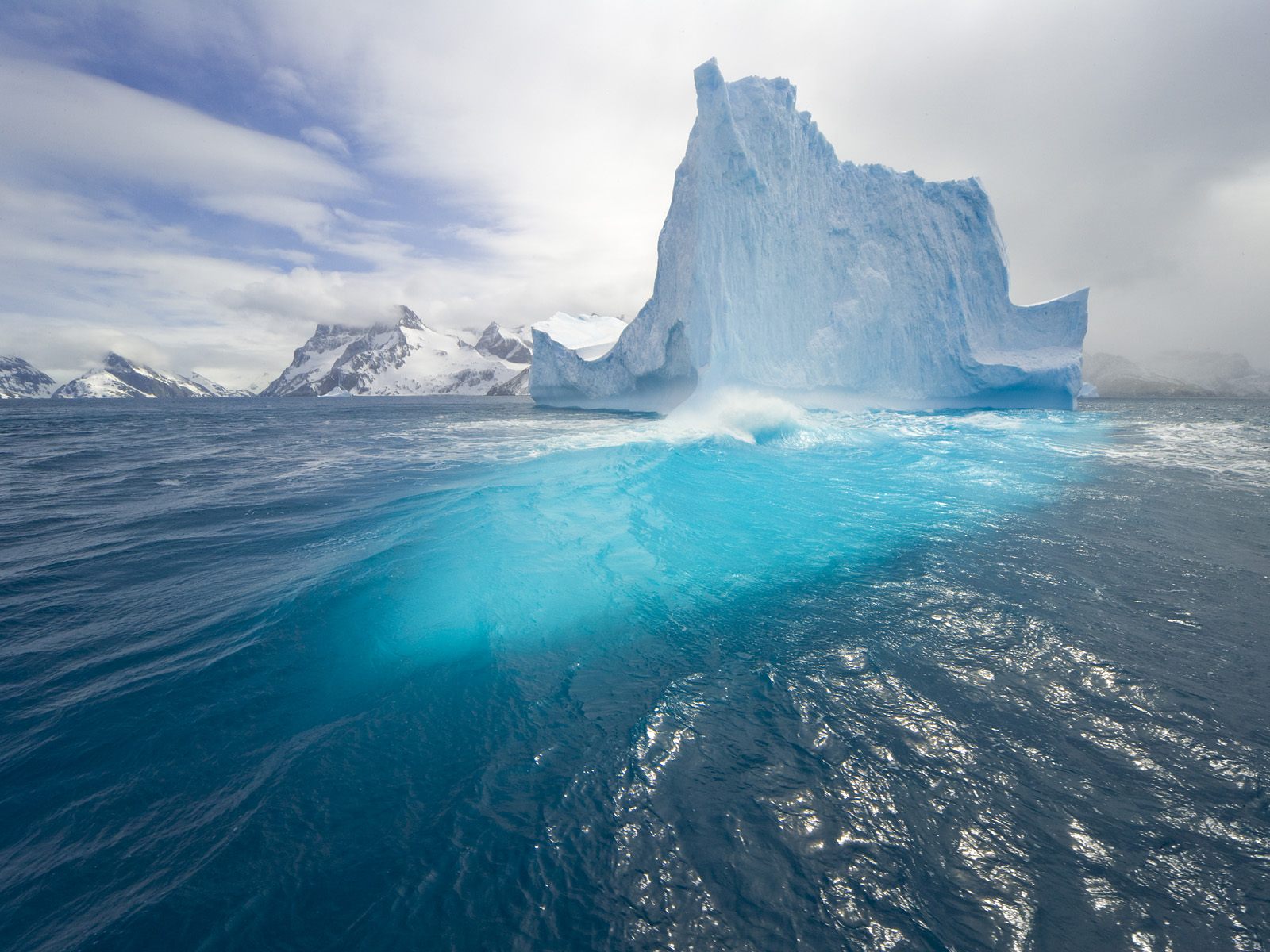 El mundo animal y la naturaleza: Iceberg