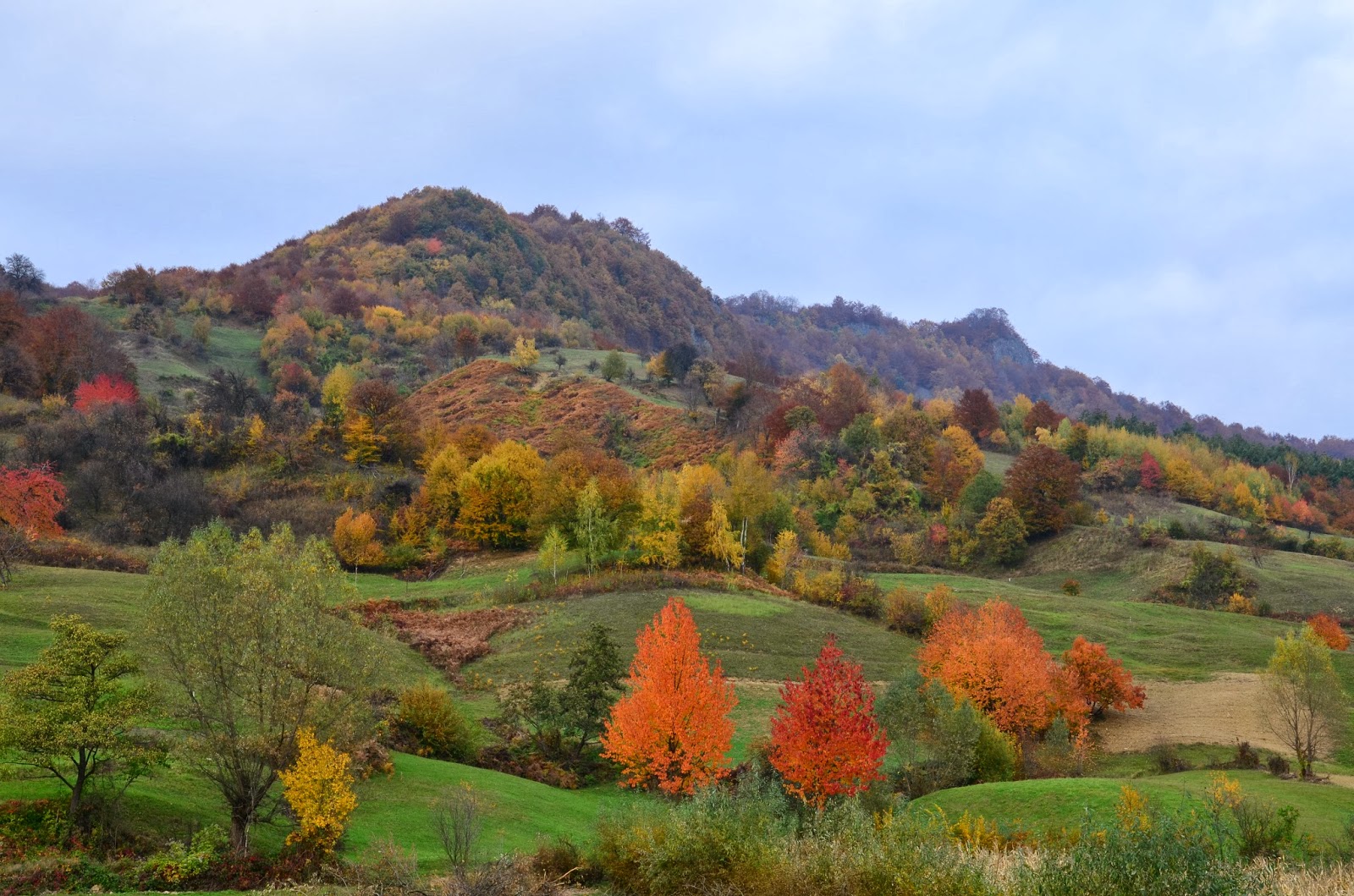 TUDOR PHOTO BLOG: Toamna in Maramures,Autumn in Maramures,Romania,Europe