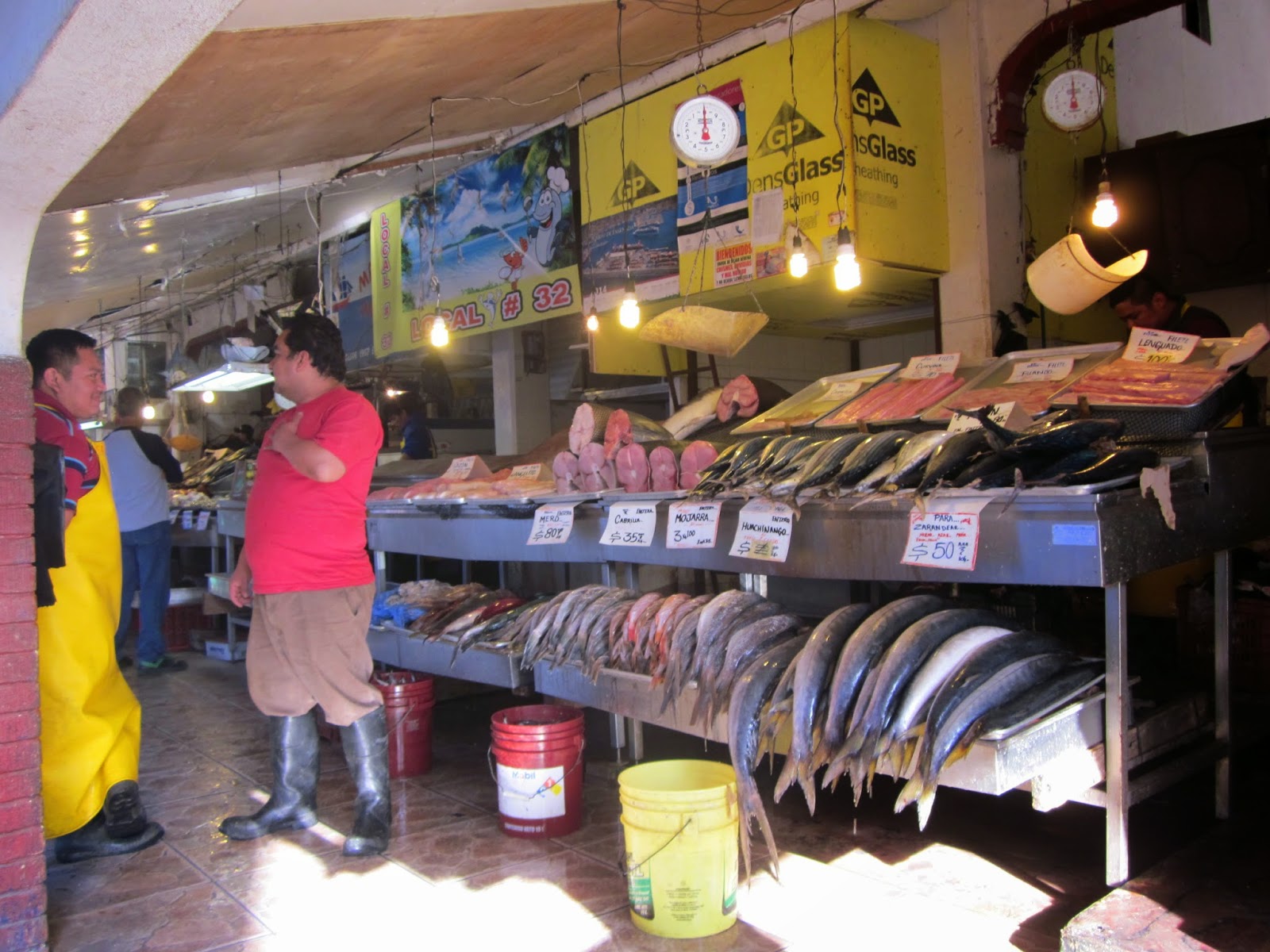 Second Wind Voyage: LEG TWO: MEXICO