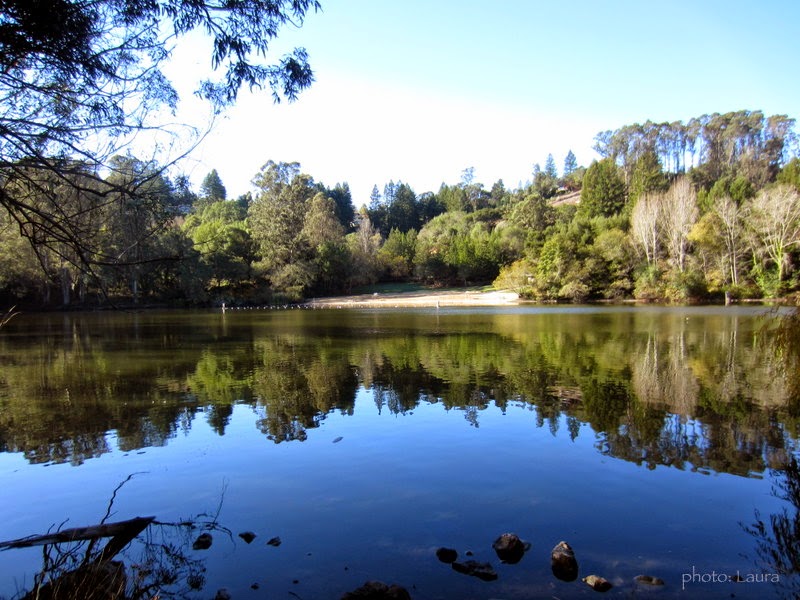wild women walking: Tilden Regional Park | Lake Anza to Inspiration Point