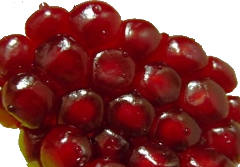 Sretni Recepti: Šipak ili nar