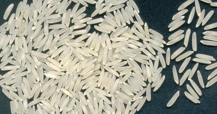 hargailah sebutir beras(nasi) - KANG SHIN BLOG