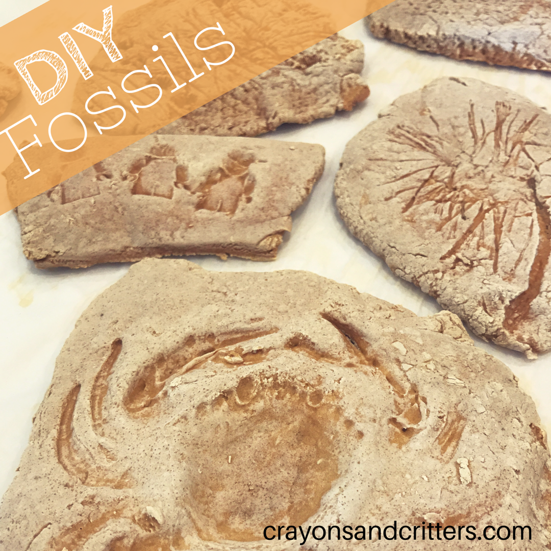 Crayons and Critters: Easy DIY Fossils for kids