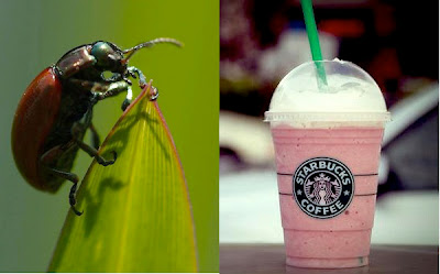 Melt your fillings: Surprise! Your Starbucks strawberry smoothie has ...