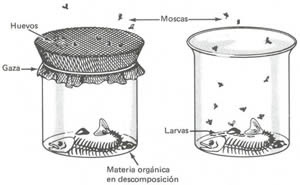 El Planeta Tierra: Teorías Sobre el Origen de la Vida