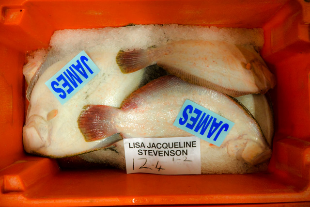 Through the Gaps! - Newlyn Fishing News: Full of the finest # ...