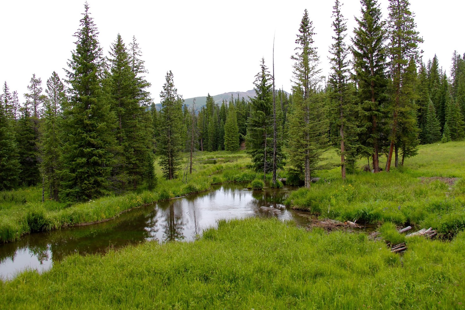 Colorado Lifestyle: Cucumber Gulch