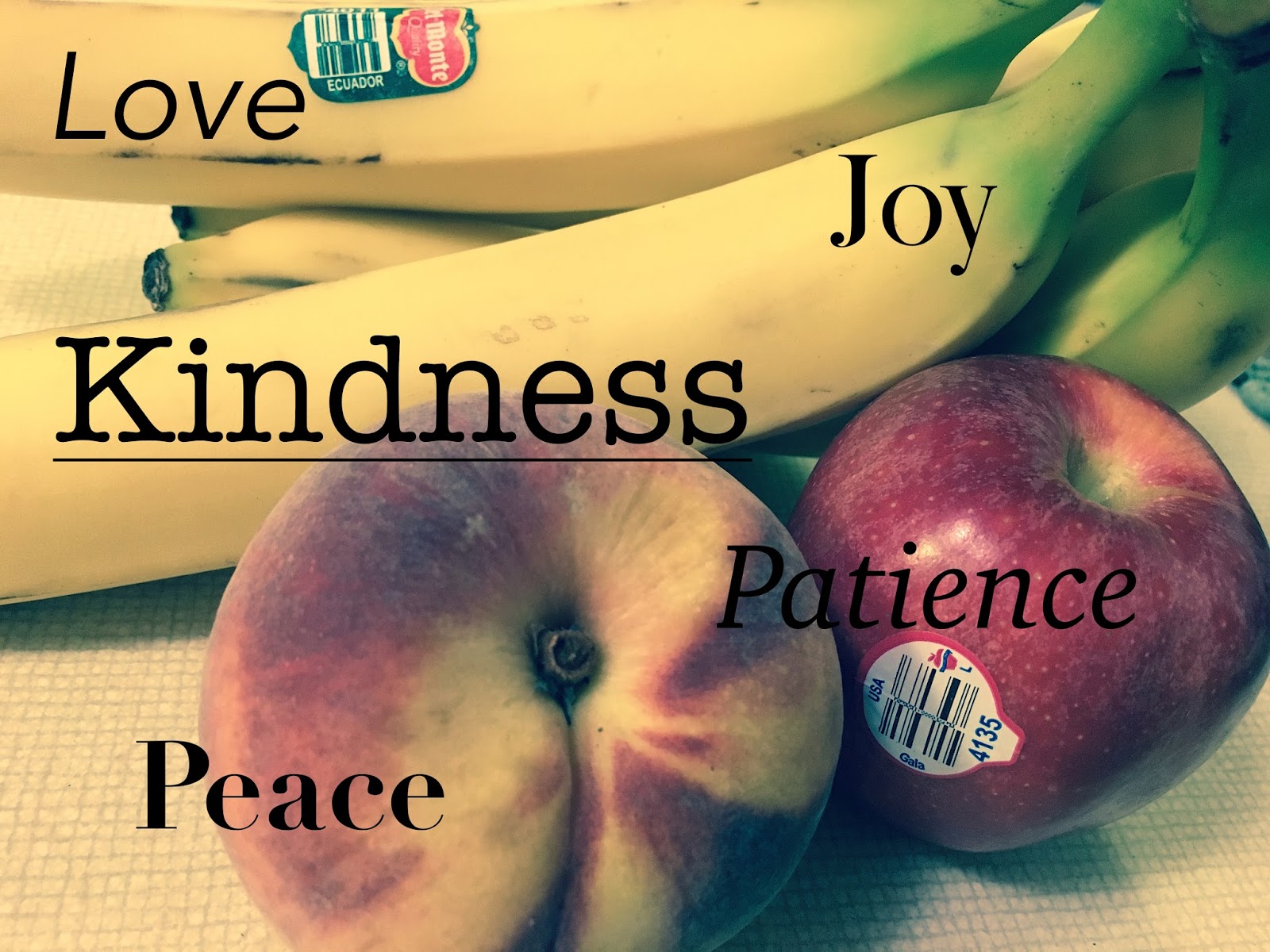 Life With A Bible: Fruit of the Spirit ~ Kindness