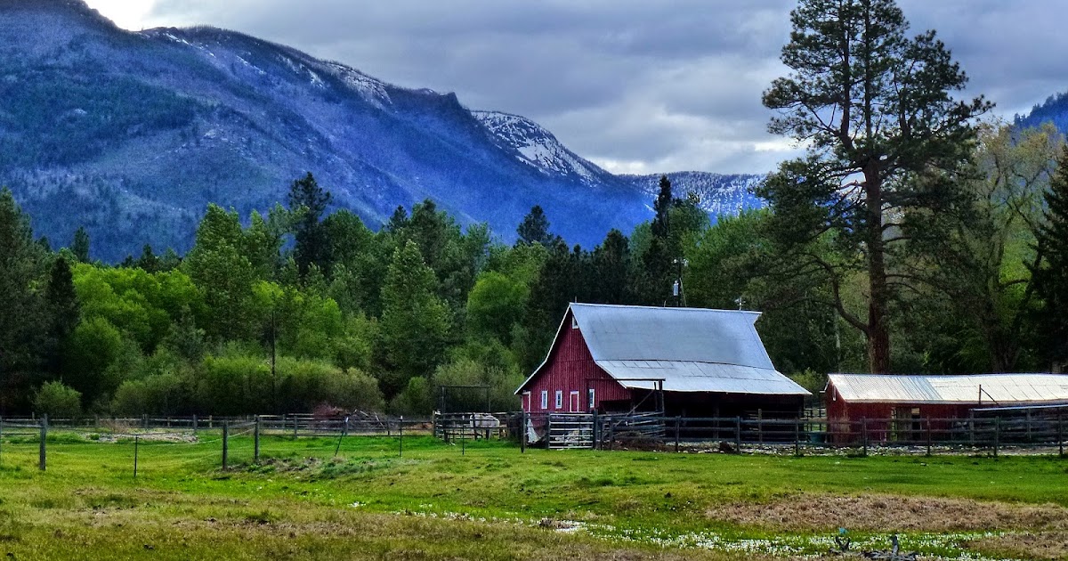 Montana 1 a day.com: GroundWater Rising - Near Victor, Montana
