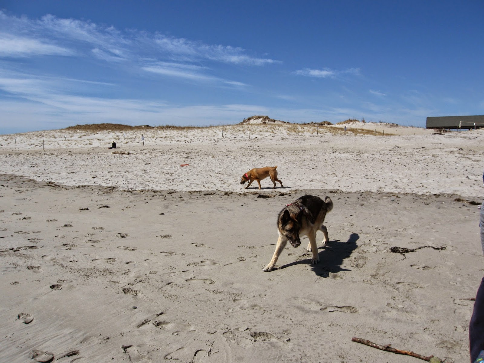 The Journey and Adventures of Nancy Moreau