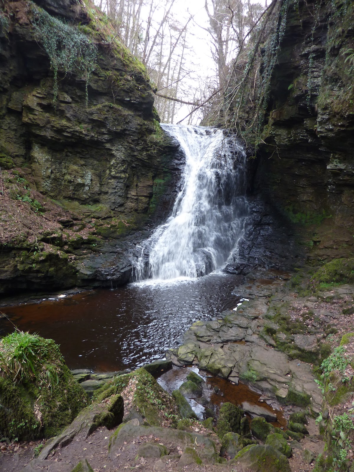 Old Age Travellers.: Bellingham Northumberland.