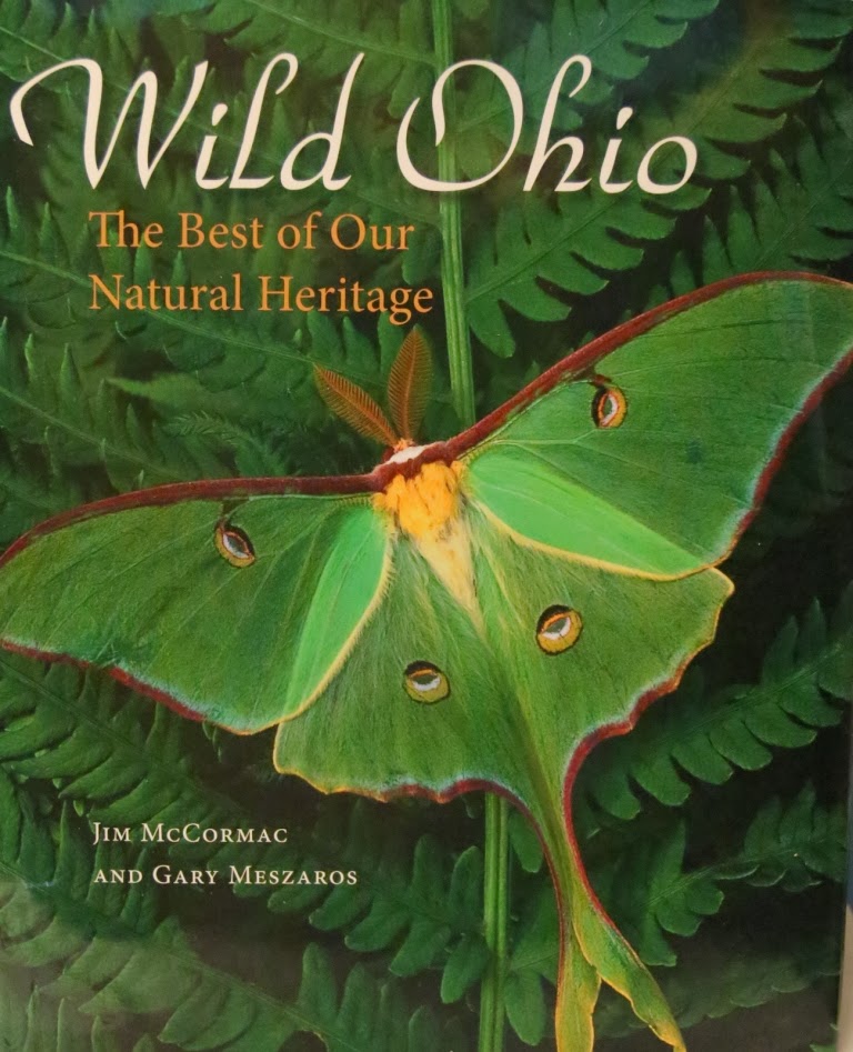 Ohio Birds and Biodiversity: Wild Ohio program in Bowling Green