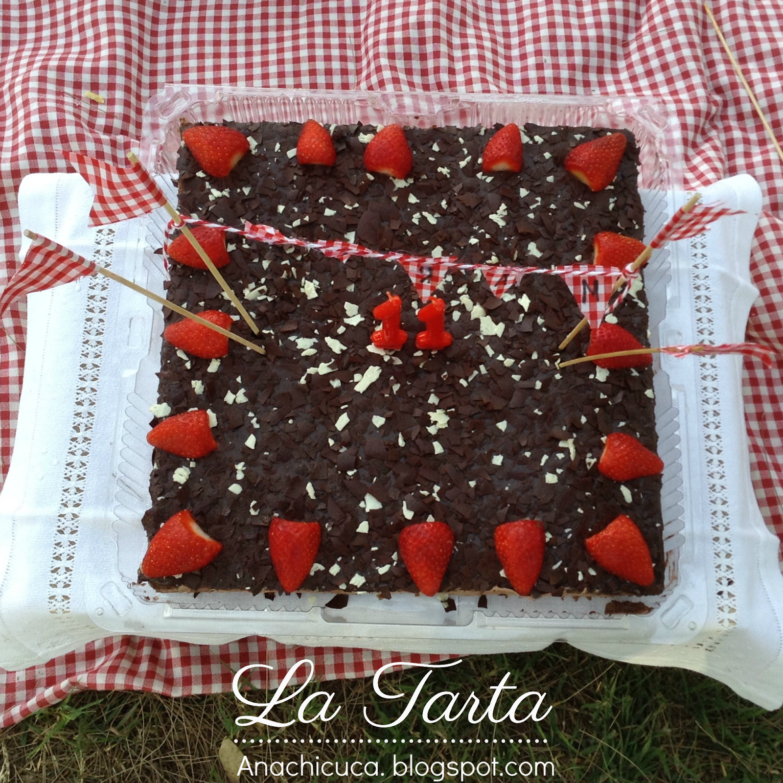 Anachicuca: El picnic-cumpleaños de MARIA.