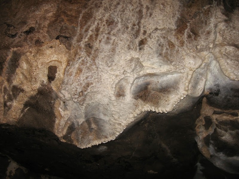 Tangled Web: Ontario's Largest Natural Cavern