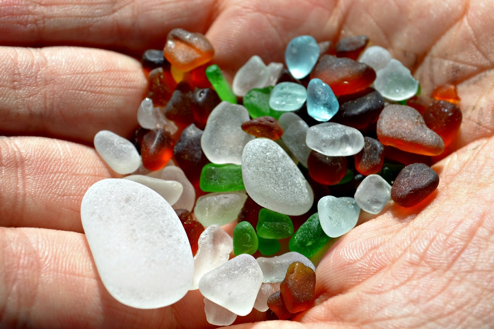 Homeschool Distractions: Fort Worden State Park