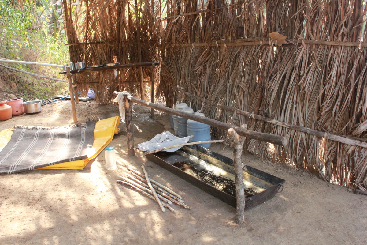 Journeys across Karnataka: Organic jaggery making unit at Idagundi