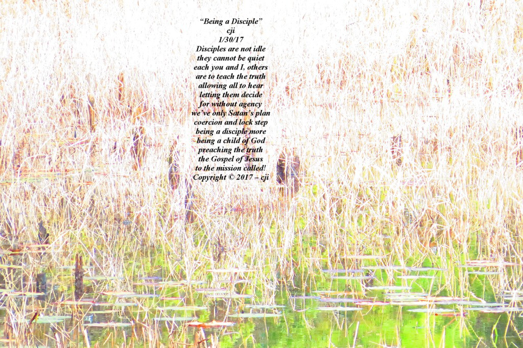 Newest Poems & Writings: "Being a Disciple"