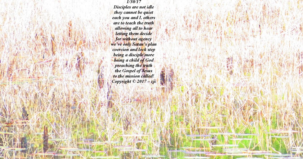 Newest Poems & Writings: "Being a Disciple"