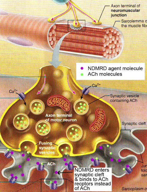 Duda's Epic Quest To Epicness: Curare
