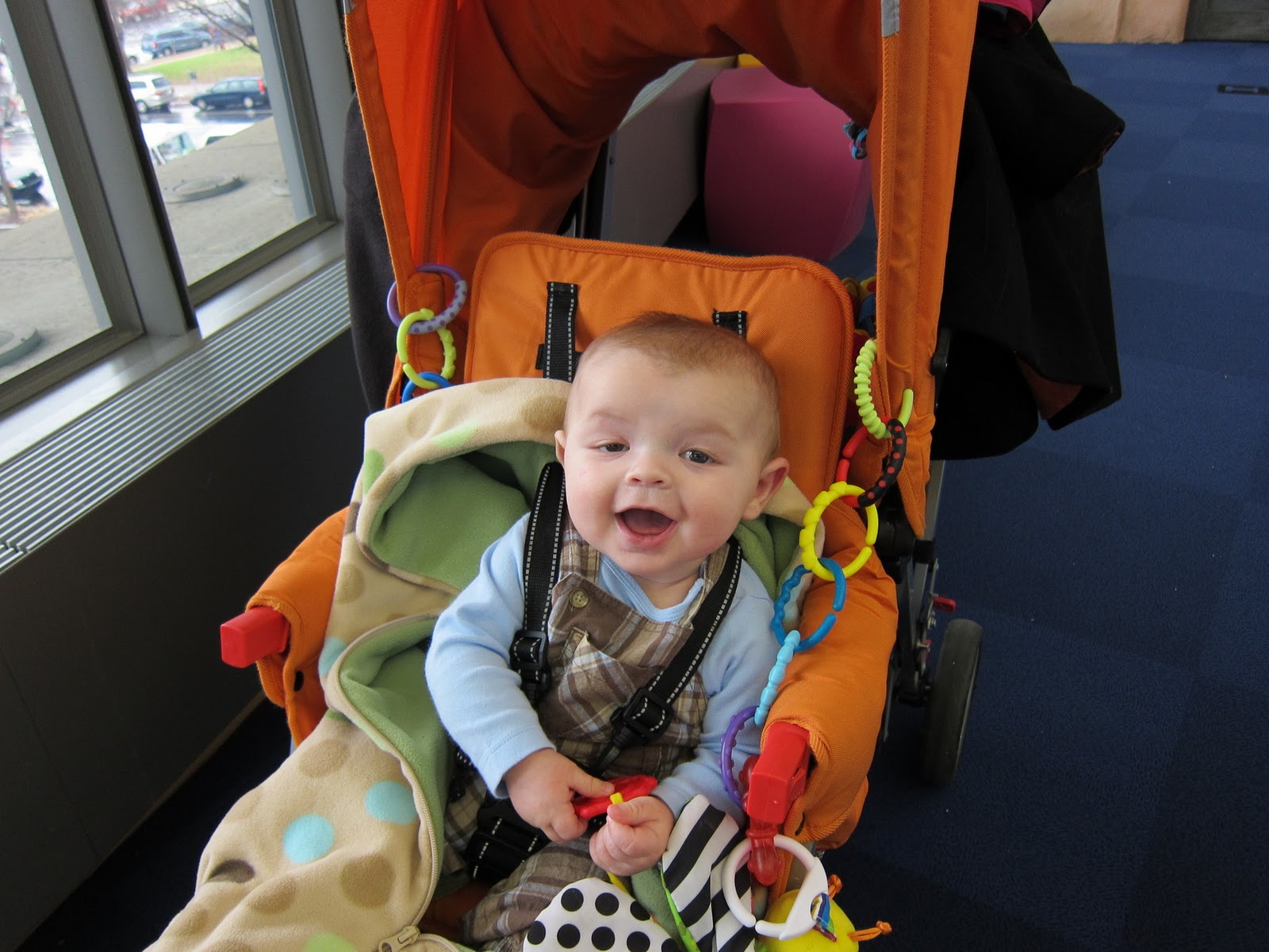 Ashley, Grant, Kendra, Elliot, Paxton, Bridget, Seth: January 2012