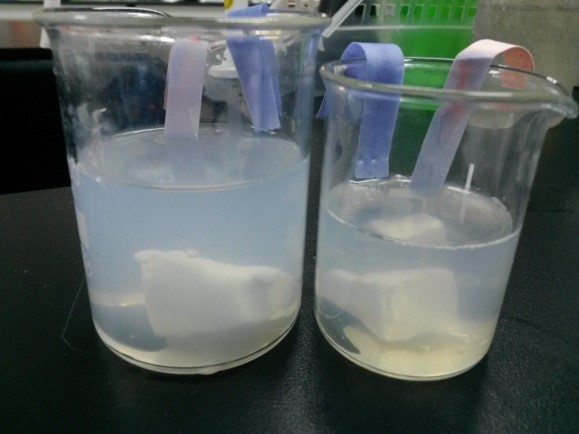 Lab Report Soap Formulation lab-report-soap-formulation