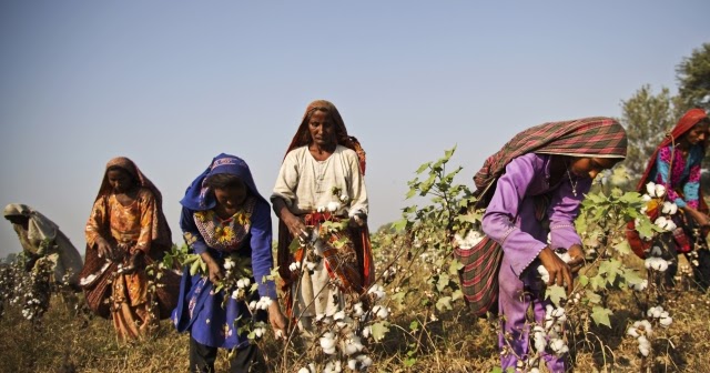 Disinterested in politics, Punjab's 93% women farm workers "ignorant ...