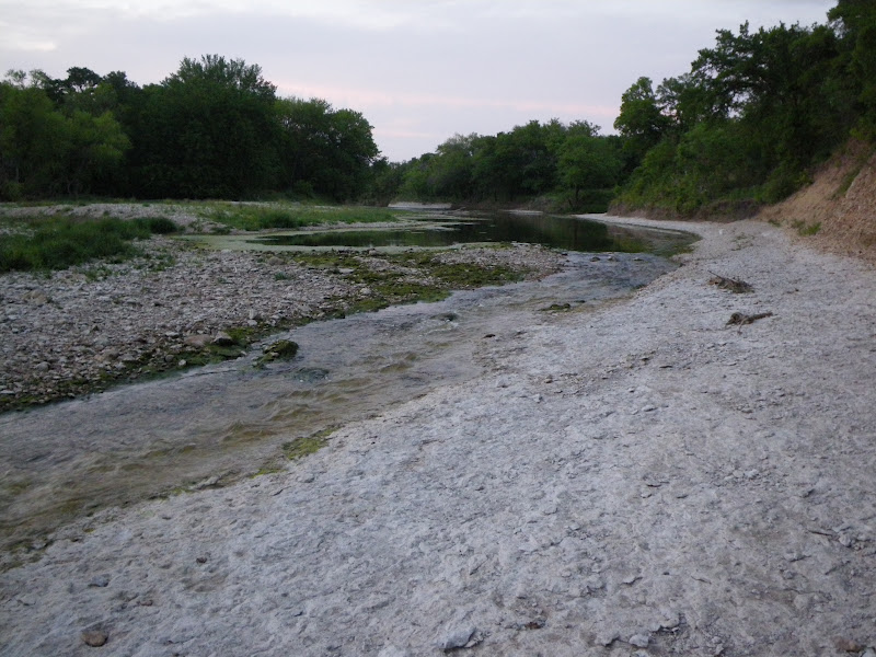 FishOn! the Fly: Nolan River White Bass Run