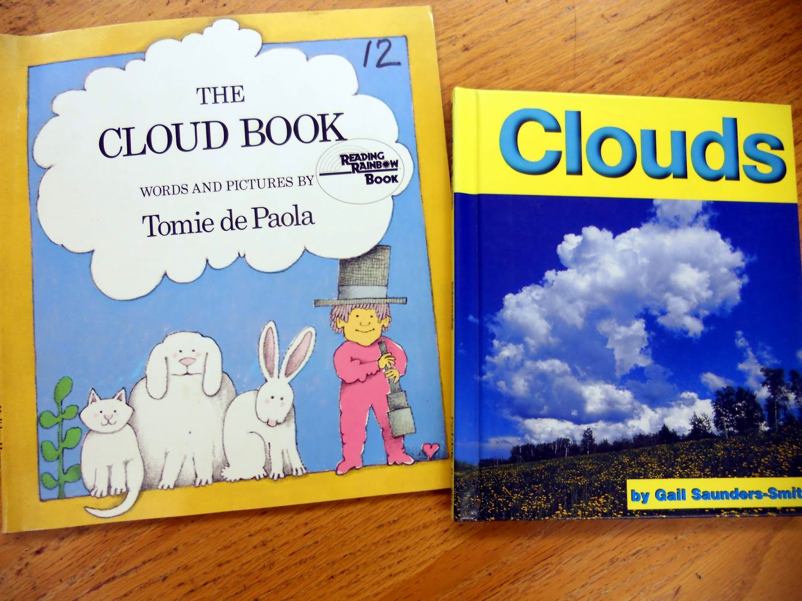 JNelson's First Grade Blog: What's the Weather?