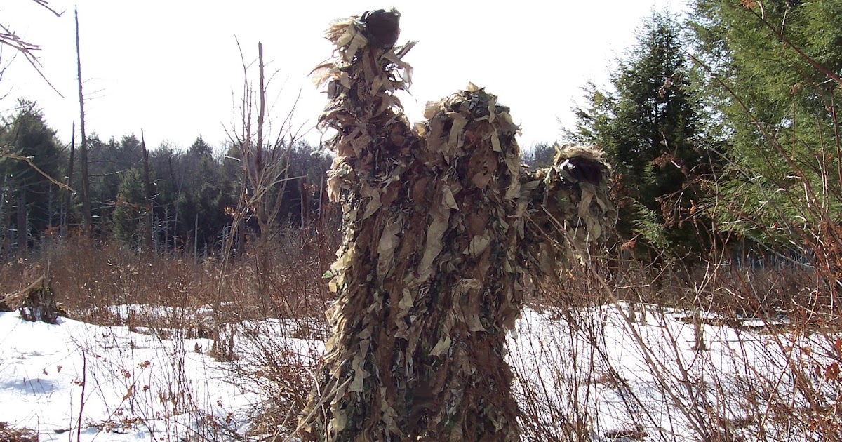 Exploring Chenango County, New York: GROG HOLLOW MONSTER