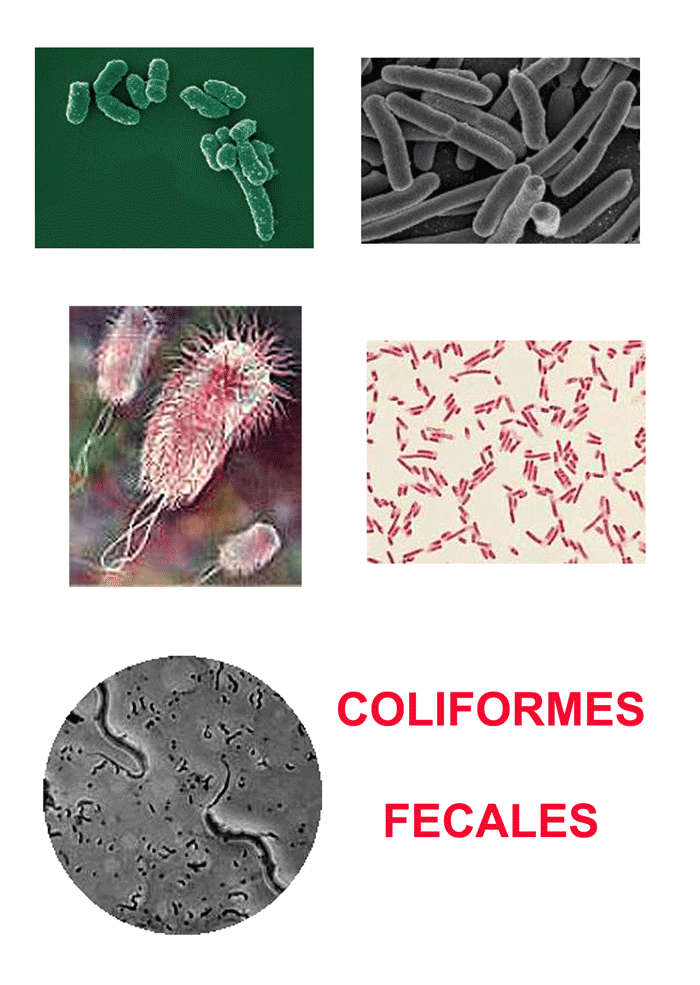 Ciencias de la Tierra y medioambientales 2º BTO