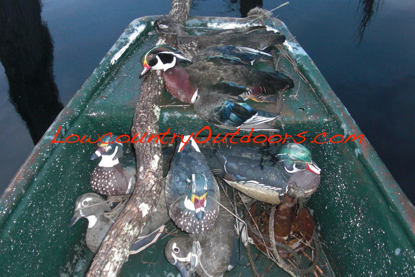 Lowcountry outdoors: 2013 Black Swamp duck hunt in the SRP