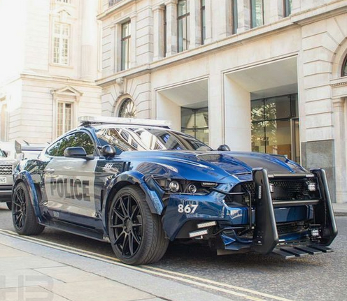 MUSCLE CAR COLLECTION : Ford Mustang Police Interceptor Car