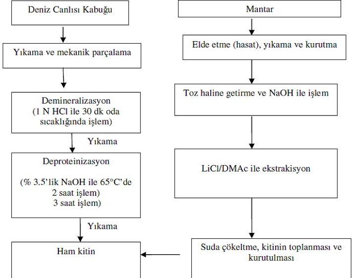 Kitin ve Kitosan Lifleri- 1.Bölüm