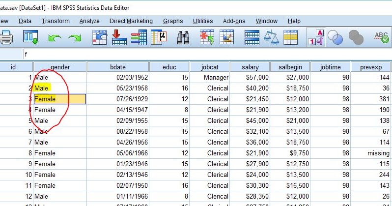 Select case feature in SPSS
